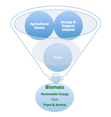 BIOMASS CONVERSION – Aviral Power